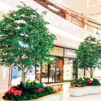 China B Style Large Artificial Ficus Tree Custom Height Shopping Mall Foliage Tree Natural Looking for sale