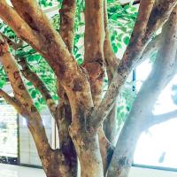 China B Style Large Artificial Ficus Tree Custom Height Shopping Mall Foliage Tree Natural Looking for sale