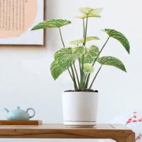 China Philodendron Birkin Decoration Artificial Bonsai Tree For Landscaping for sale