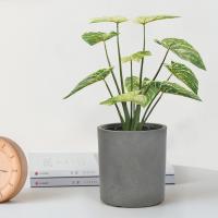 China Modern Artificial Potted Floor Plants For Home And Garden Decoration Philodendron Birkin for sale