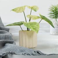 China Modern Artificial Potted Floor Plants For Home And Garden Decoration Philodendron Birkin for sale