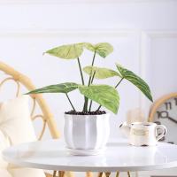 China Modern Artificial Potted Floor Plants For Home And Garden Decoration Philodendron Birkin for sale