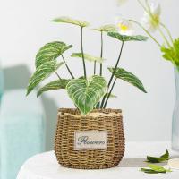 China Ornamental Small Items Artificial Potted Floor Plants Philodendron Birkin for sale