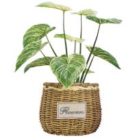 China Bedroom Artificial Potted Floor Plants Plastic Philodendron Birkin for sale