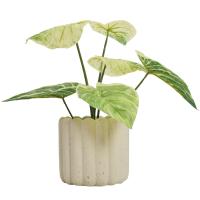 China Green Artificial Potted Floor Plants For Garden Philodendron Birkin for sale