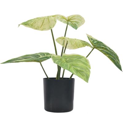 China Green Artificial Potted Floor Plants For Garden Philodendron Birkin for sale