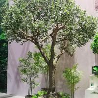 China 20m Height Artificial Olive Tree Custom Shape Natural Looking Frabric Leaves for sale