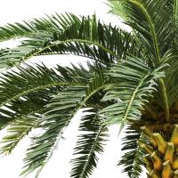China No Nursing Store Artificial Landscape Trees Big Date Palm Tree Customized Size for sale