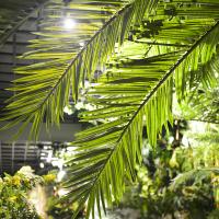 China No Nursing Store Artificial Landscape Trees Big Date Palm Tree Customized Size for sale