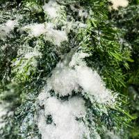 China 10m Height Artificial Yew Tree Fake Snow On Plants For Shopping Mall for sale