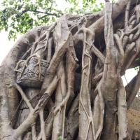 China 3m Artificial Landscape Trees Large Ficus Simulating Century Old Trees With Old Vines Special Shape for sale