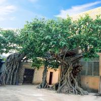 China 3m Artificial Landscape Trees Large Ficus Simulating Century Old Trees With Old Vines Special Shape for sale