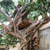 China 3m Artificial Landscape Trees Large Ficus Simulating Century Old Trees With Old Vines Special Shape for sale