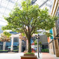 China Artificial Indoor Banyan Tree Evergreen Leaves No Water Faux Tree No Pest Plants for sale