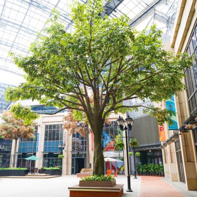 China Artificial Indoor Banyan Tree Evergreen Leaves No Water Faux Tree No Pest Plants for sale