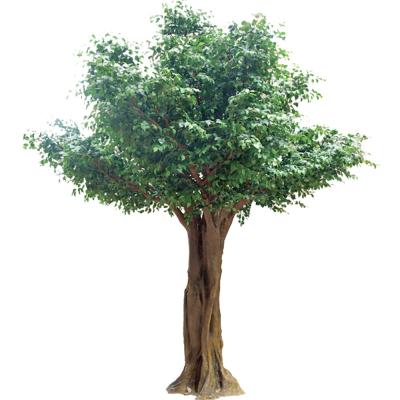 China 3m Height Artificial Landscape Trees Pittosporum Ficus Tree for office for sale