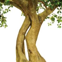 China 3m Height Artificial Landscape Trees Pittosporum Ficus Tree for office for sale