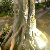 China Living Room Artificial Banyan Tree No Sunlight S Shape Trunk Wide Leaf Cover Plant for sale