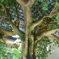 China Living Room Artificial Banyan Tree No Sunlight S Shape Trunk Wide Leaf Cover Plant for sale