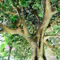 China Living Room Artificial Banyan Tree No Sunlight S Shape Trunk Wide Leaf Cover Plant for sale