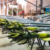 China Custom Height 3-30m Evergreen Artificial Coconut Palm Tree For Outdoor Events for sale