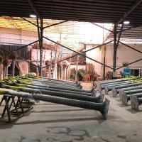 China Custom Height 3-30m Evergreen Artificial Coconut Palm Tree For Outdoor Events for sale
