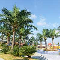 China Custom Height 3-30m Evergreen Artificial Coconut Palm Tree For Outdoor Events for sale