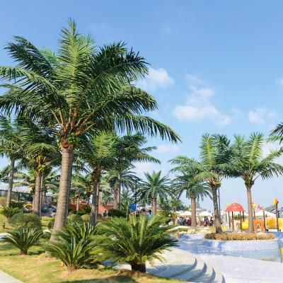 China Custom Height 3-30m Evergreen Artificial Coconut Palm Tree For Outdoor Events for sale