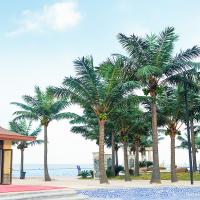 China Custom Height 3-30m Evergreen Artificial Coconut Palm Tree For Outdoor Events for sale