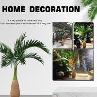 China Anti UV Artificial Bottle Palm Tree Corrosion Resistant Lifelike Looking Evergreen Plant for sale