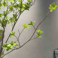 China Potted Artificial Landscape Trees Philodendron 120cm 160cm For Indoor Decoration for sale