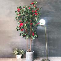 China Artificial Camellia Potted Plant No Litght Fresh Leaves Red And Green Mixed Plant Indoor Decor for sale