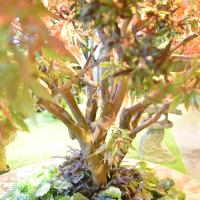 China 3m Artificial Maple Tree Real Looking No Color Fading Vibe Autumn Themed Plant for sale