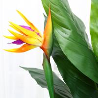 China Artificial Paradise Bird Indoor Decor Plants original design natural look evergreen plant for sale