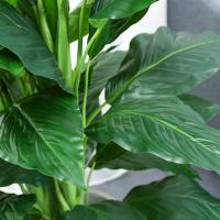 China Artificial Paradise Bird Indoor Decor Plants original design natural look evergreen plant for sale