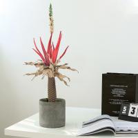 China SGS Plastic Artificial Foliage Tree Architectural Landscaping For Dining Room for sale