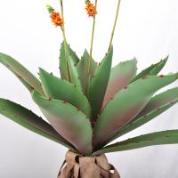 China 8'' High Artificial Aloe Plants For Dorm Book Shelf Decoration for sale