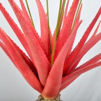 China 8'' High Artificial Aloe Plants For Dorm Book Shelf Decoration for sale