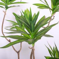 China Natural Wood Artificial Landscape Trees Lily Bamaboo For Home Decor Evergreen No Water for sale