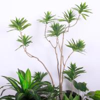 China Natural Wood Artificial Landscape Trees Lily Bamaboo For Home Decor Evergreen No Water for sale