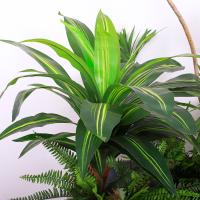 China Natural Wood Artificial Landscape Trees Lily Bamaboo For Home Decor Evergreen No Water for sale