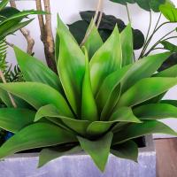 China Natural Wood Artificial Landscape Trees Lily Bamaboo For Home Decor Evergreen No Water for sale
