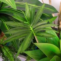 China Natural Wood Artificial Landscape Trees Lily Bamaboo For Home Decor Evergreen No Water for sale