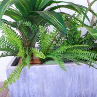 China Natural Wood Artificial Landscape Trees Lily Bamaboo For Home Decor Evergreen No Water for sale