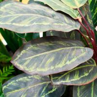 China Anti Fading Artificial Landscape Plants 2-5 Square Meter With Plants And Bush for sale