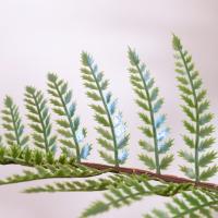 China Anti UV Plastic Artificial Landscape Trees With Traveller'S And Areca Palm for sale