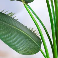 China Anti UV Plastic Artificial Landscape Trees With Traveller'S And Areca Palm for sale