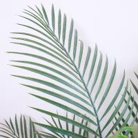 China Anti UV Plastic Artificial Landscape Trees With Traveller'S And Areca Palm for sale