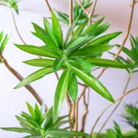 China No Caring Artificial Landscape Trees With Lily Bamboo Monstera Small Plants Evergreen for sale