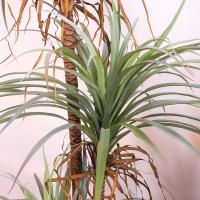 China No Caring Artificial Landscape Trees With Lily Bamboo Monstera Small Plants Evergreen for sale